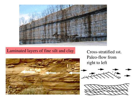 Ppt Sedimentary Rocks Powerpoint Presentation Free Download Id339227