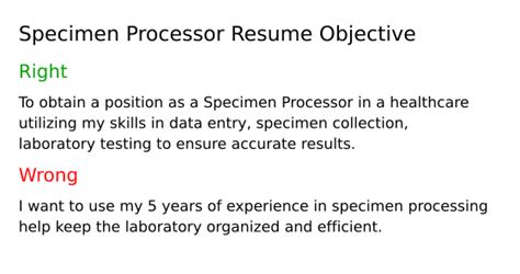 top 17 specimen processor resume objective examples