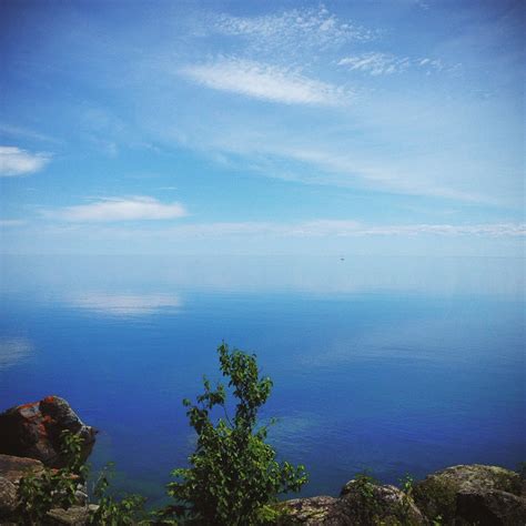 Superior Polly Darton