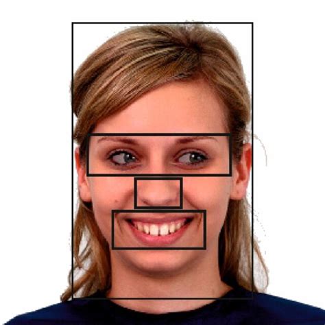 Heatmap Analysis Of Face To Face Interaction Video And Eye Movement Download Scientific