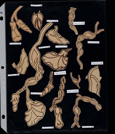 Needlework Patterns Works The Colonial Williamsburg Foundation