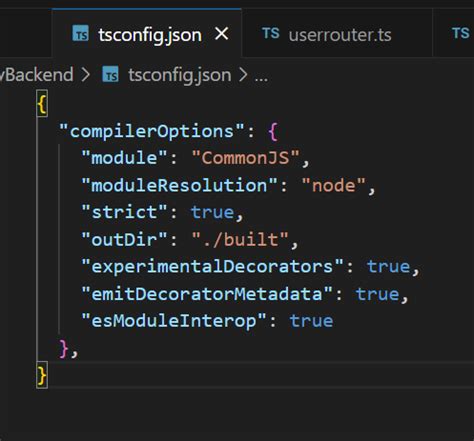 Typescript Tsc Permission Denied Issue In Hosting Stack Overflow