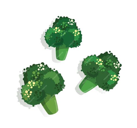 Ilustración De Vector De Planta Saludable De Brócoli Verde Vector Premium
