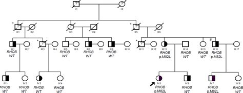 A Novel Apob Mutation Identified By Exome Sequencing Cosegregates With Steatosis Liver Cancer