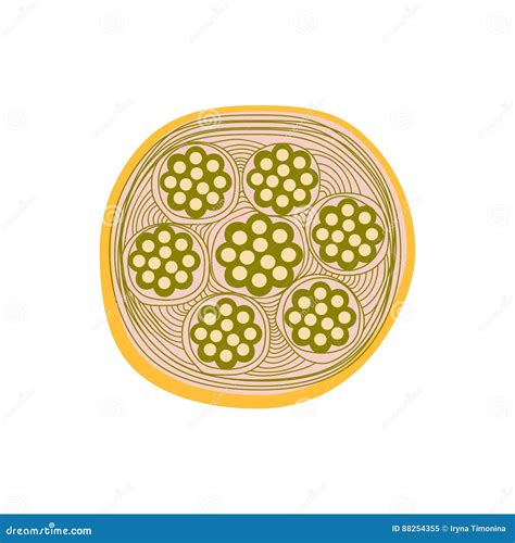 Structure Of Tendon Infographics Vector Illustration On Isolated