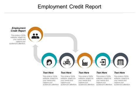 Employment Credit Report Ppt Powerpoint Presentation Inspiration Example In