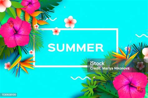 핑크 히 비 스커 스 꽃 열 대 여름 종이 컷 아트에서 야자수 잎 식물 프랑 지 파 니플 루 메리 아 새의 낙원 사각형 프레임입니다 텍스트 종이 접기 정글 봄 꽃입니다