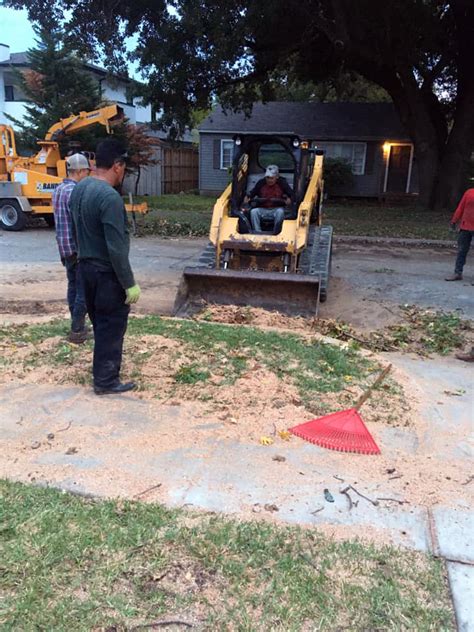 Gallery Cabrera Tree Service