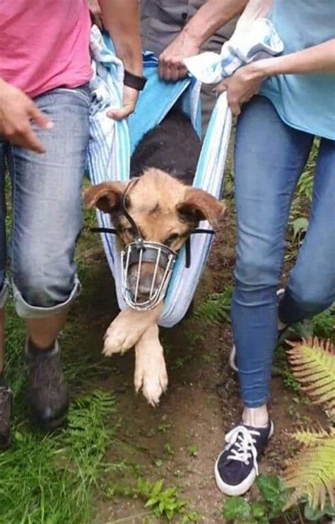 Labka Pomoci Pomáhame Spolu