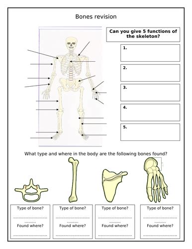 Gcse Pe Aqa Complete Lesson Pp And Worksheets For Whole Spec Teaching Resources