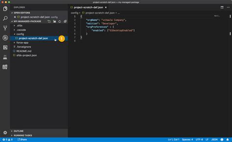 Customize The Scratch Org Definition File Salesforce Dx For Isvs