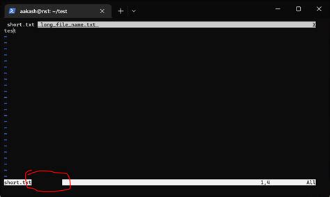 Vim Statusbar Not Fully Redrawing After Windows Terminal Update Issue
