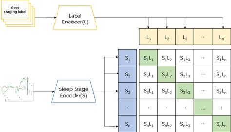 figure 1 from sleep clip a multimodal sleep staging model based on