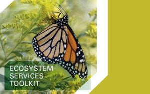 Community Conservation Research Network Ecosystem Services Toolkit