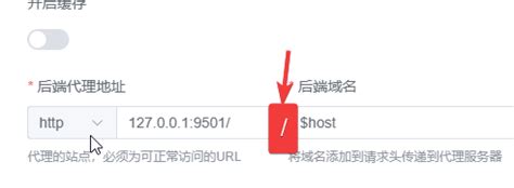 建议网站的反向代理这里默认增加 Panel 社区论坛 FIT CLOUD 飞致云