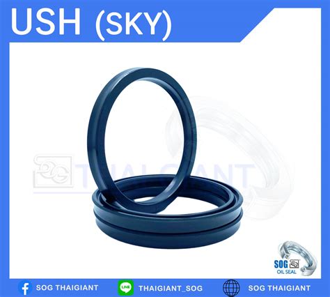 Sog Thai Giant Oil Seal Manufacturer Supplier Asia China