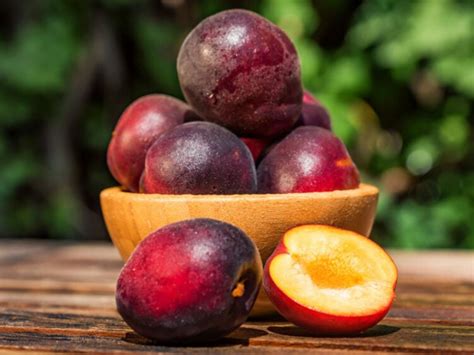 What Is Stone Fruit 14 Common Types Insanely Good