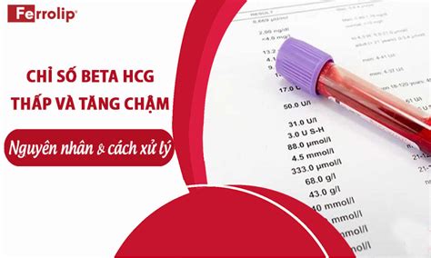 Chỉ Số Beta Hcg Thấp Và Tăng Chậm Nguyên Nhân Và Cách Xử Trí