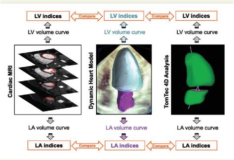 Figure 1 From Machine Learning Based Automated Dynamic Quantification