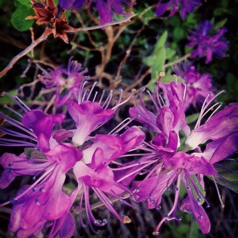 Stream Toni Doucette Music Listen To Songs Albums Playlists For Free On Soundcloud