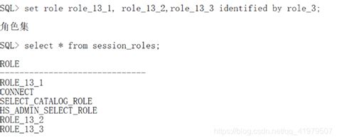 oracle角色审计与外部表 oracle创建安全审计员 csdn博客