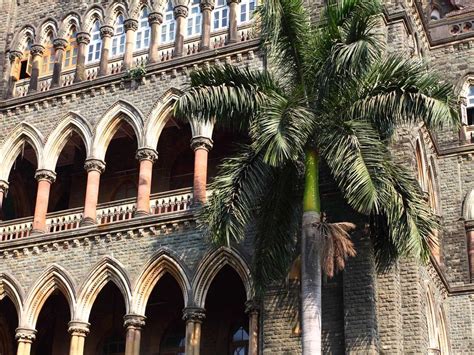 Mumbai University Exams To Be Cancelled Or Not SC Verdict And Its Impact On Final Year Exams In