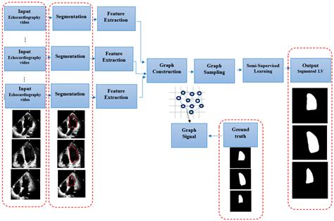 Semi Supervised Segmentation Of Echocardiography Videos Using Graph