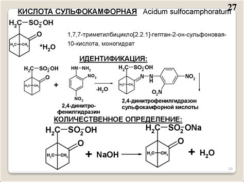 Лекарственные вещества из группы терпенов. Общая характеристика ...