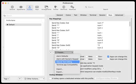 macos how can i get control left arrow to go back one word in iterm2