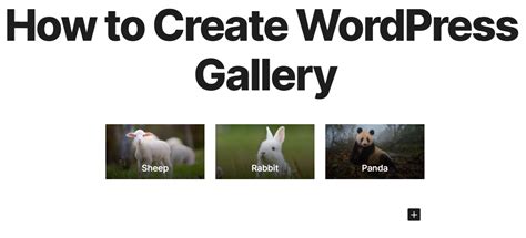 How To Create An Image Gallery In Wordpress 2 Methods Password Protect Wordpress Pro