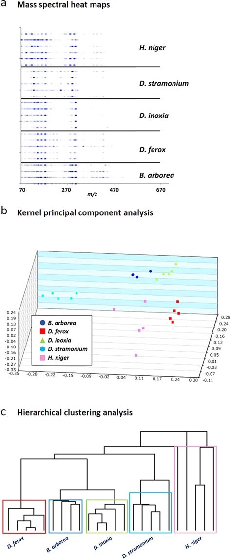 Dart Tof Mass Spectral Heat Maps Kernel Principal Component Analysis Download Scientific