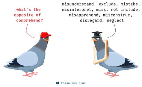 42 Comprehend Antonyms Full List Of Opposite Words Of Comprehend