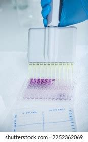 Cell Culture Laboratory Images Stock Photos Vectors Shutterstock