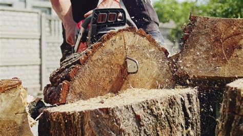 Chainsaw Cutting Through A Tree Trunk With Sawdust Flying Person Operating In The Background