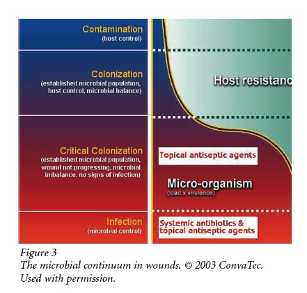 Bacterial Growth Guideline Reassessing Its Clinical Relevance In Wound