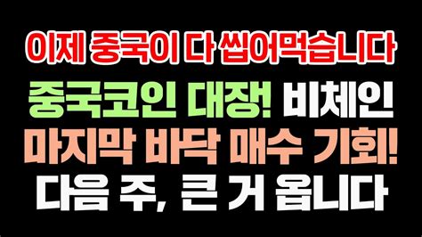 이제 중국이 다 씹어먹습니다 중국코인 대장 비체인 마지막 바닥 매수 기회 다음 주 큰 거 옵니다 비체인 비체인코인 비체인코인정보비체인코인분석 비체인코인시세
