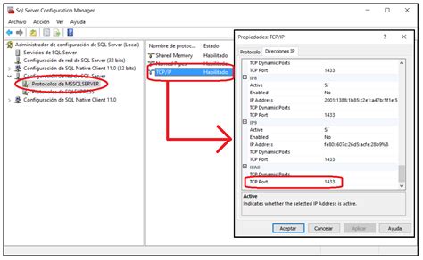 Desarrolla Software Jdbc Conexión Con Bases De Datos