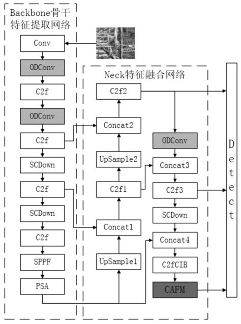 一种基于改进yolov10模型的输电线路异物识别方法及系统与流程