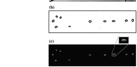 Steps Of Image Analysis A Original Image B Binary Image C A View Of Download Scientific