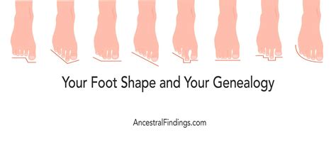 Ancestry Toe Chart