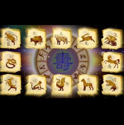 ЗАЕК цъфтеж на късмета КОЗА дарове на съдбата КИТАЙСКИ хороскоп