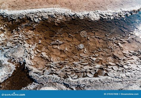 A Table Top Sedimentary Formation In The Desert Near Riyadh Saudi