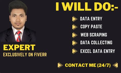 do excel data entry data collection and copy paste job by abusayed11