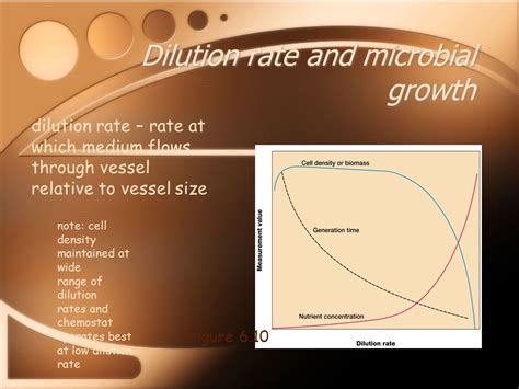 Chapter 6 Microbial Growth Ppt Video Online Download