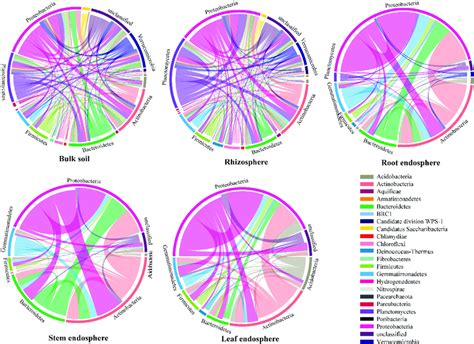 Circos Plots Showing The Distribution Of Links Among Interacting Phyla Download Scientific