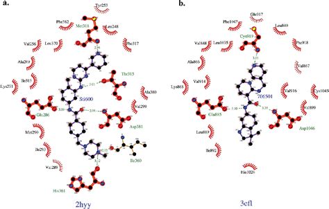 Figure 3 From Ligplot Multiple Ligand Protein Interaction Diagrams Figure 3 From Ligplot Multiple Ligand Protein Interaction Diagrams