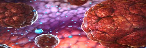 3 Steps For Successful Tumor Xenograft Analysis Revvity