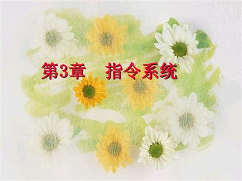 第3章指令系统 上new Word文档在线阅读与下载无忧文档 第3章指令系统 上new Word文档在线阅读与下载无忧文档