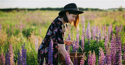햇볕이 잘 드는 들판에서 고리 버들 세공 소박한 바구니에 루팡을 모으는 아름다운 여자 빈티지 꽃무늬 드레스와 모자를 쓴 세련된 젊은 여성이 시골의 여름 초원에서 휴식을