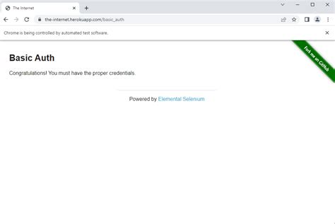 Testing Basic Authentication In Selenium Reflect